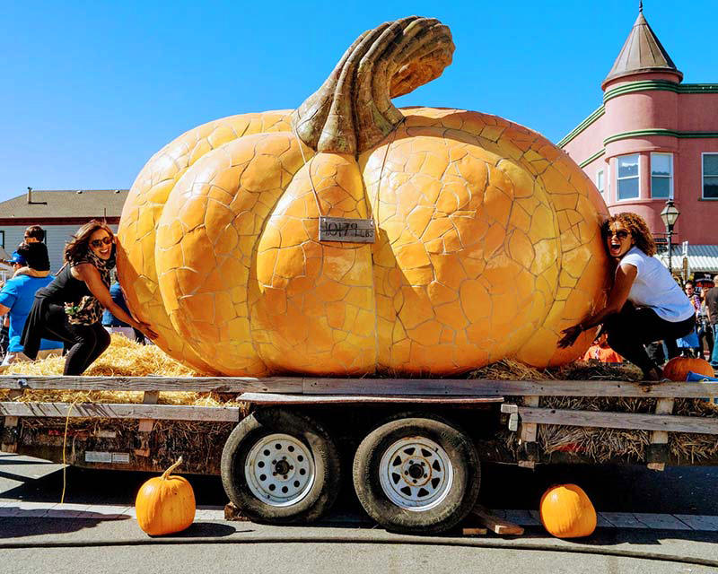 Best Fall Family Fairs & Festivals in the Bay Area | Marin Mommies