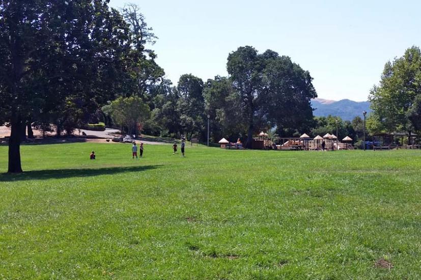 Marin Playground Profile: Pioneer Park in Novato | Marin Mommies