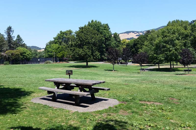 Marin Playground Profile: Pioneer Park in Novato | Marin Mommies