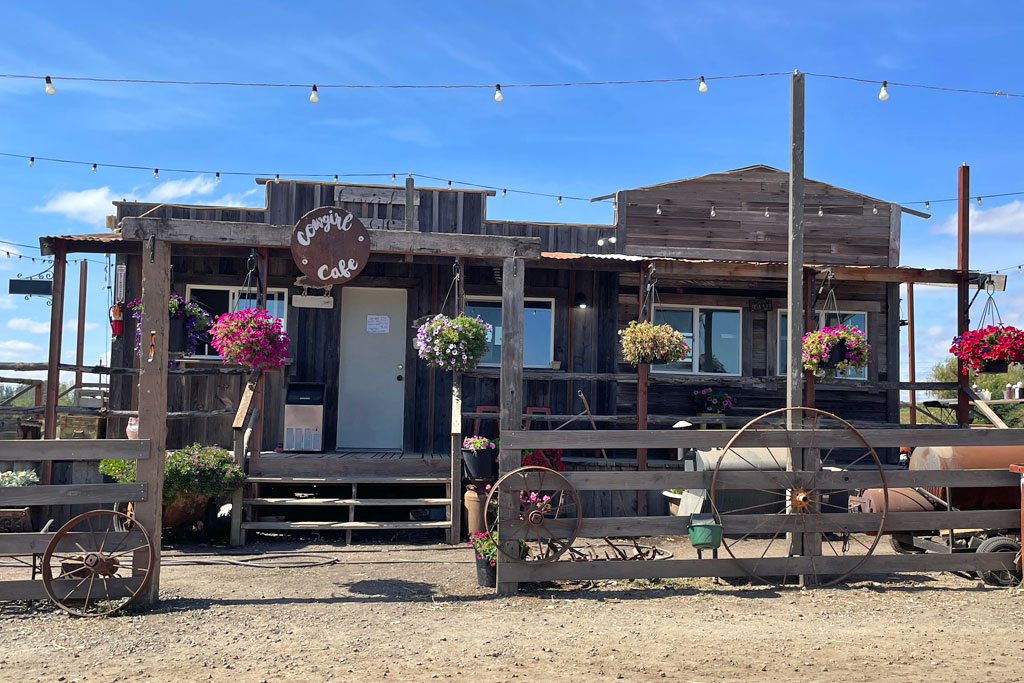 Halloween Fun at Pronzini Farms Pumpkin Patch in Petaluma | Marin Mommies