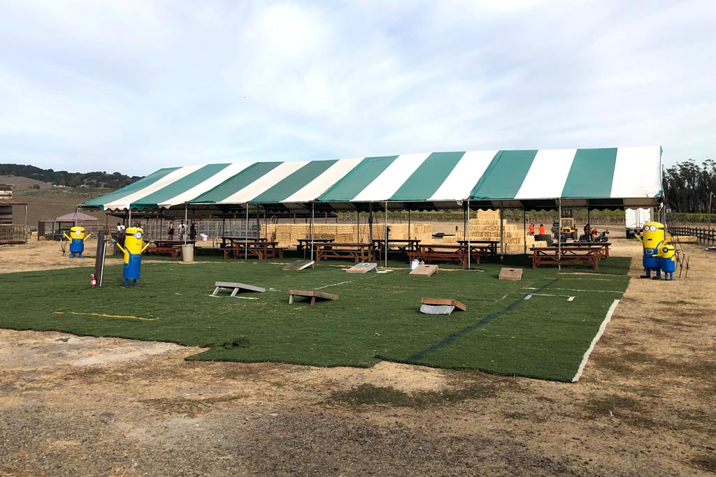 Halloween Fun at Pronzini Farms Pumpkin Patch in Petaluma | Marin Mommies