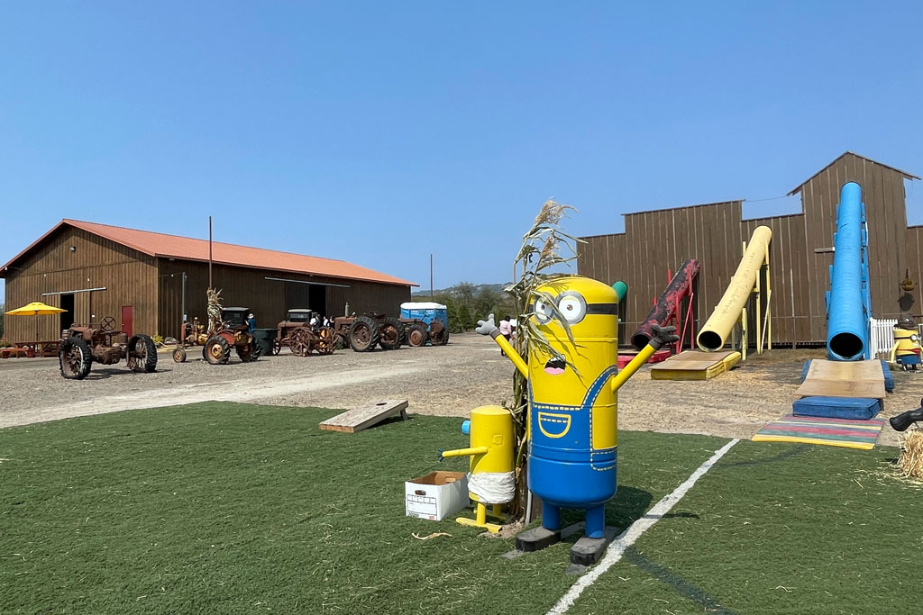 Halloween Fun at Pronzini Farms Pumpkin Patch in Petaluma | Marin Mommies