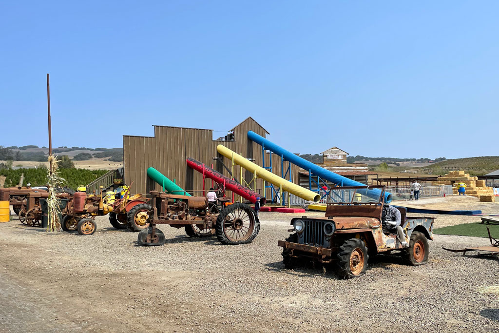 Halloween Fun at Pronzini Farms Pumpkin Patch in Petaluma | Marin Mommies
