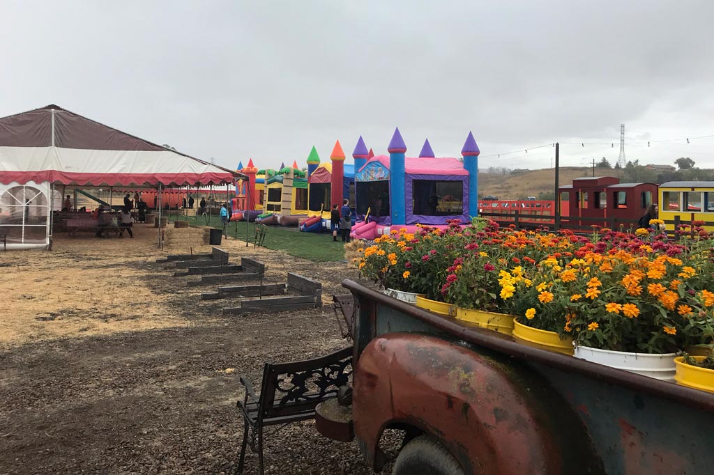 Halloween Fun at Pronzini Pumpkin Patch in Petaluma | Marin Mommies