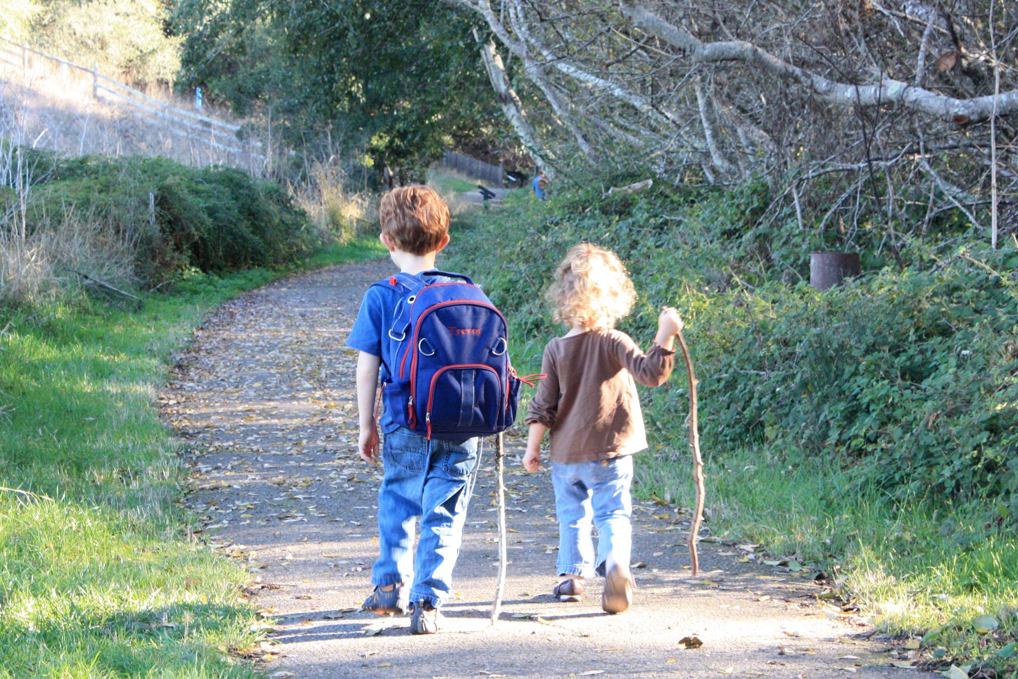 Outdoor Outings for Kids: Bear Valley Visitor Center in Point Reyes ...