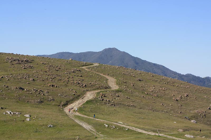 Spectacular Views and Spring Wildflowers Await at Ring Mountain | Marin ...