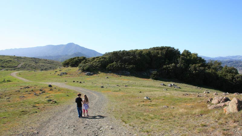 Spectacular Views and Spring Wildflowers Await at Ring Mountain | Marin ...
