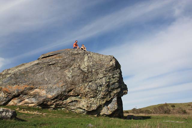Spectacular Views and Spring Wildflowers Await at Ring Mountain | Marin ...