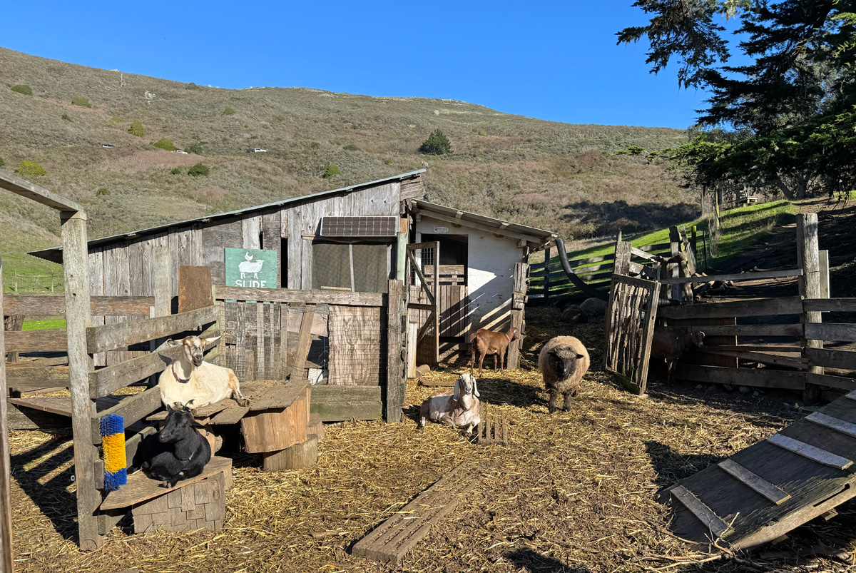 Marin Weekend Family Fun for February 6–8 | Marin Mommies