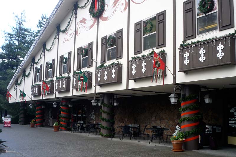 Ice Skating Fun at Snoopy's Home Ice in Santa Rosa | Marin Mommies