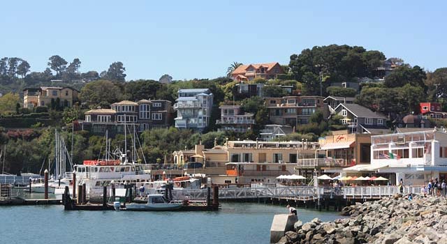 The Insider's Guide to Visiting Tiburon for Families | Marin Mommies