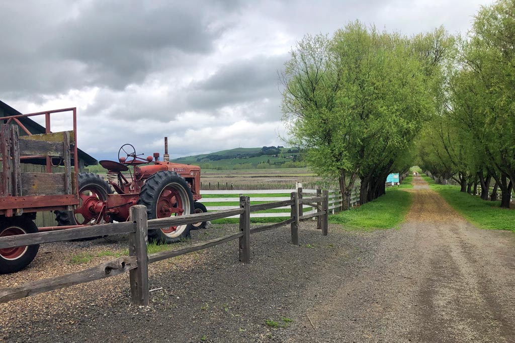 Tolay Lake Regional Park Is a Fantastic Place for a Family Hike | Marin ...