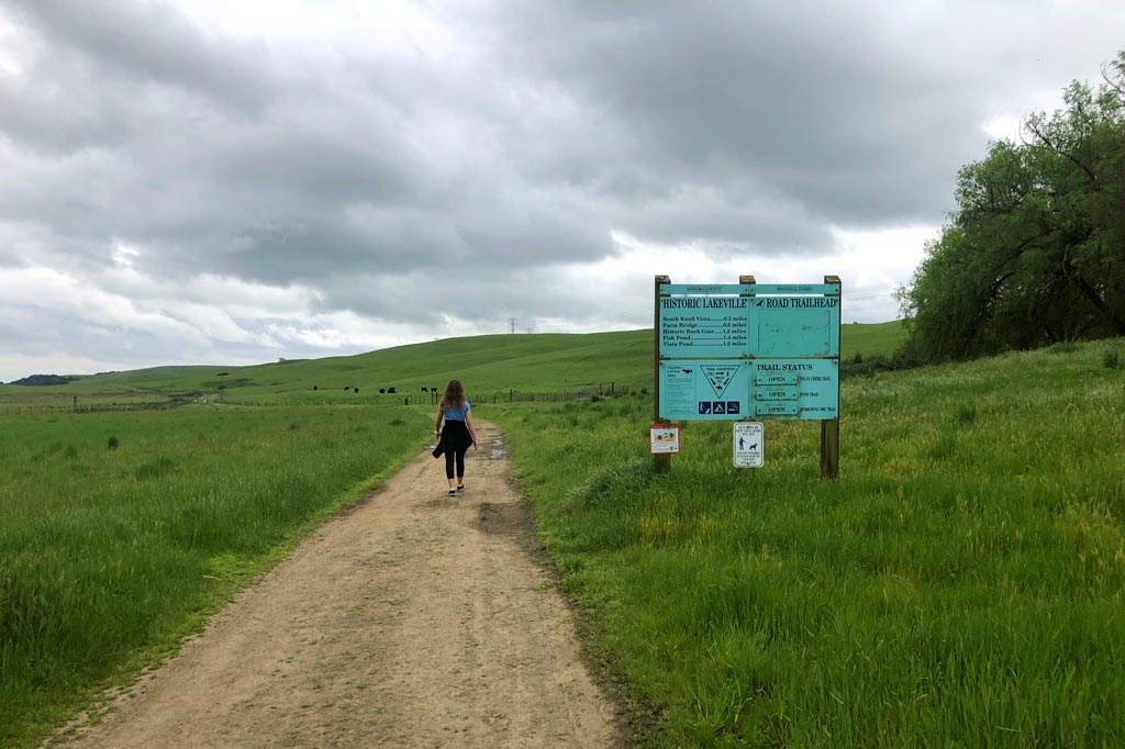 Tolay Lake Regional Park Is a Fantastic Place for a Family Hike | Marin ...
