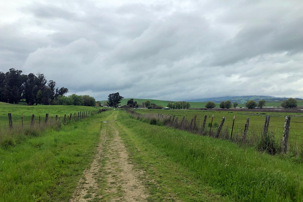 Tolay Lake Regional Park Is a Fantastic Place for a Family Hike | Marin ...