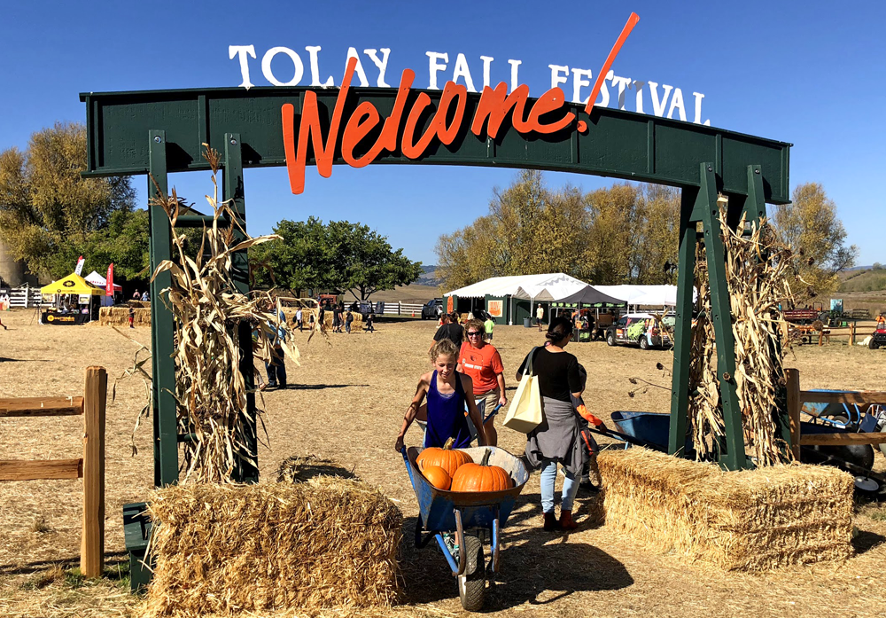 Tolay Fall Festival 2019