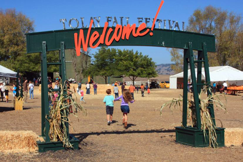 Best Fall Family Fairs & Festivals in the Bay Area