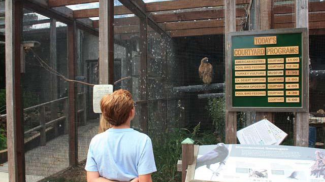 Wildlife Centers and Preserves in Marin and the Bay Area | Marin Mommies