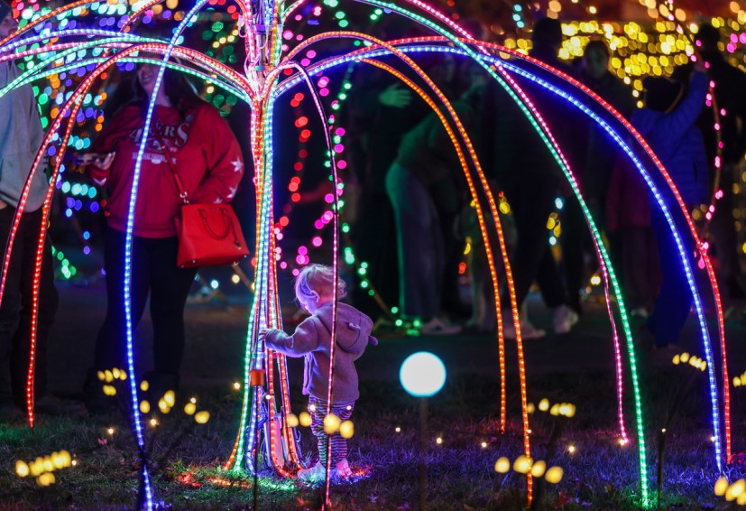 Experience Marin's FREE Holiday Light Spectacular This Season | Marin ...