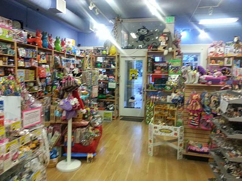 Unique Toy Stores in Marin | Marin Mommies