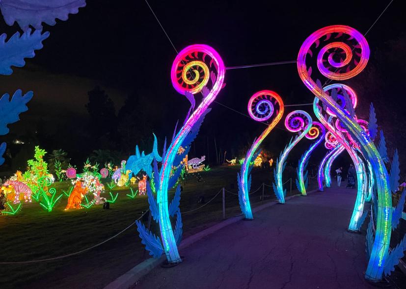 Glowfari, Oakland Zoo| Marin Mommies