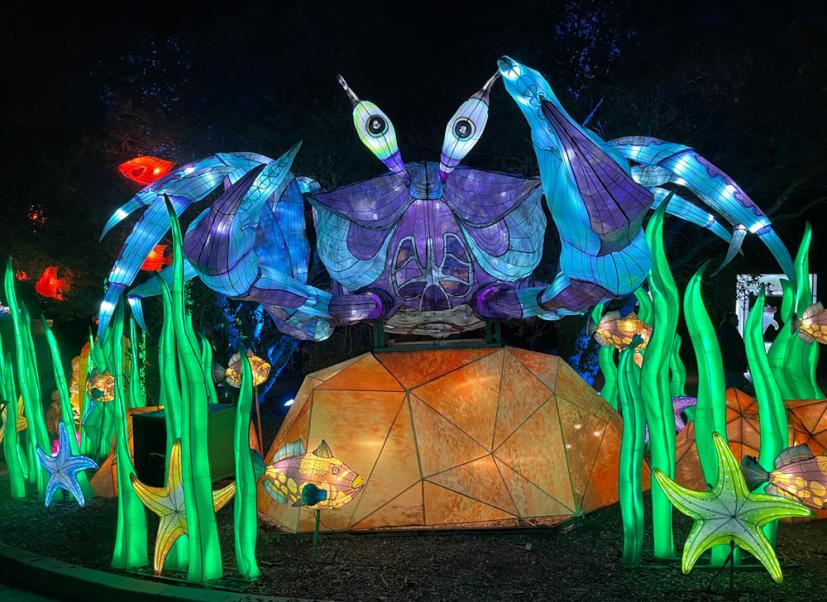 Glowfari, Oakland Zoo| Marin Mommies