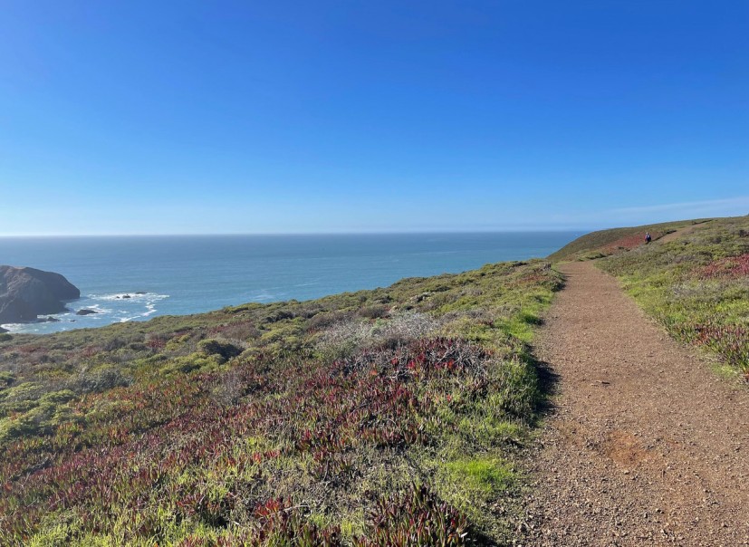 5 Favorite Winter Beach Hikes for Families | Marin Mommies