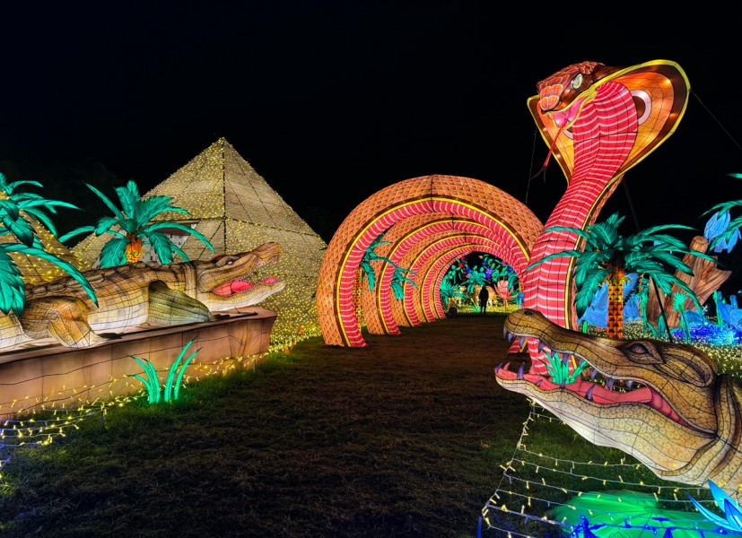 Glowfari, Oakland Zoo| Marin Mommies