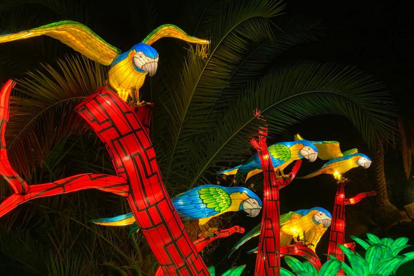 Glowfari Lantern Festival Lights Up the Oakland Zoo | Marin Mommies