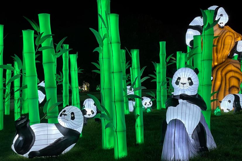 Glowfari Lights Up the Night at the Oakland Zoo | Marin Mommies