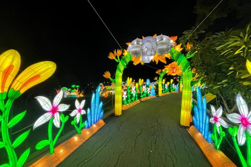 Glowfari Lights Up the Night at the Oakland Zoo | Marin Mommies