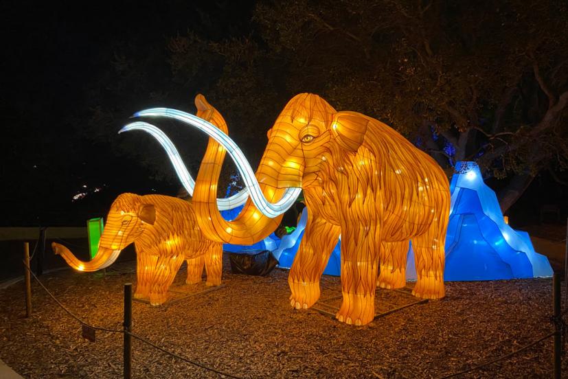 Glowfari Lantern Festival Lights Up the Oakland Zoo | Marin Mommies