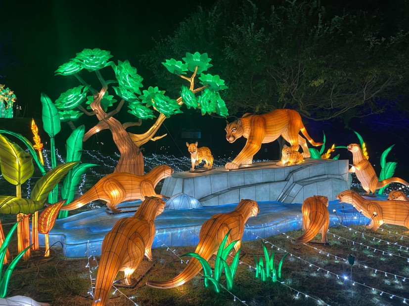 Glowfari, Oakland Zoo| Marin Mommies