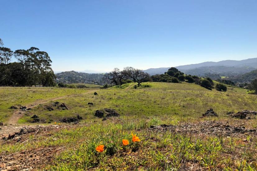 Hiking with Kids in Marin: Mount Burdell Open Space Preserve | Marin ...