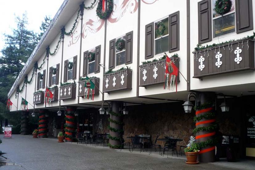 Ice Skating Fun at Snoopy's Home Ice in Santa Rosa | Marin Mommies